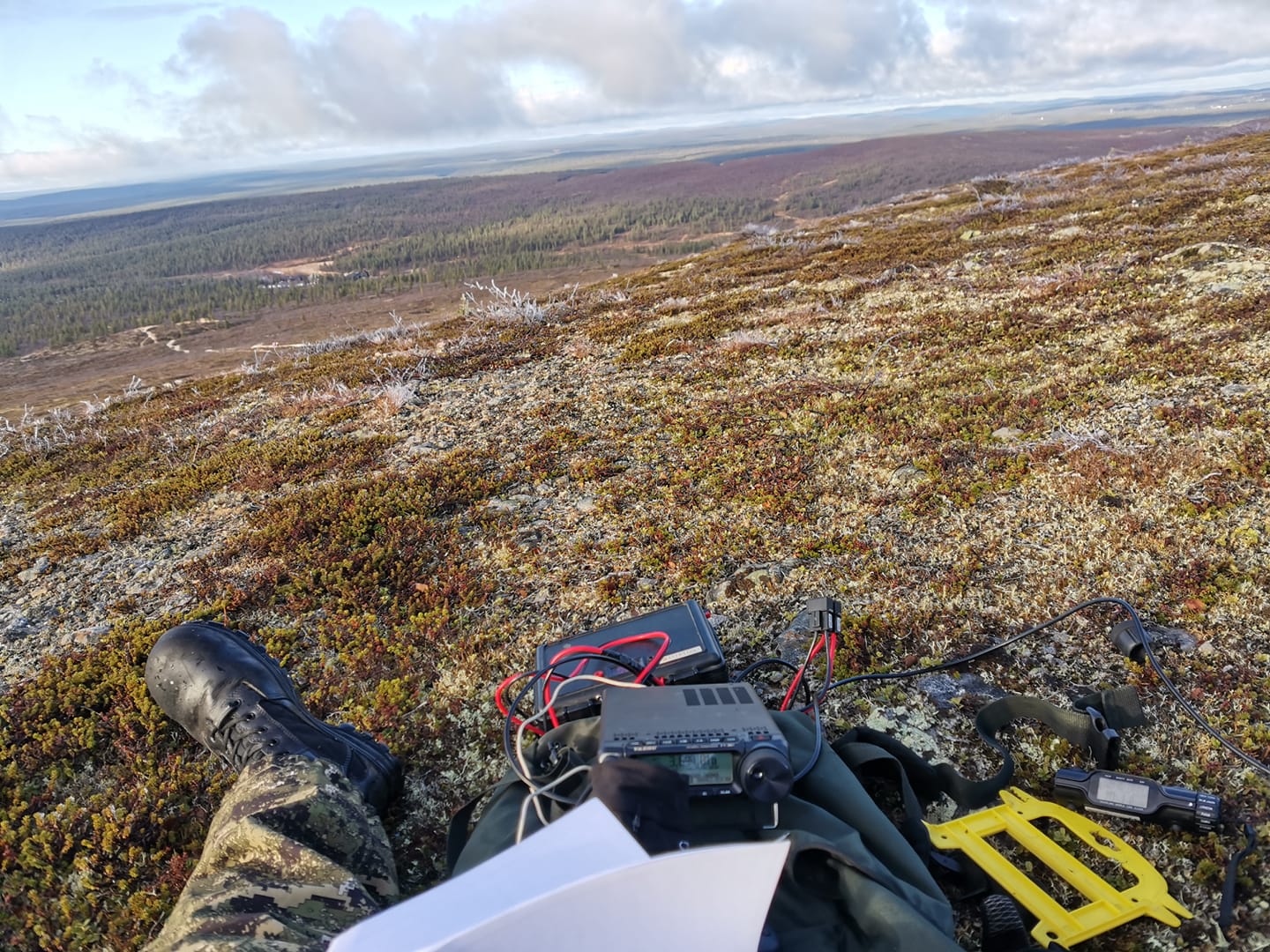 Aktivoinnin säännöt | OHFF Flora & Fauna Finland